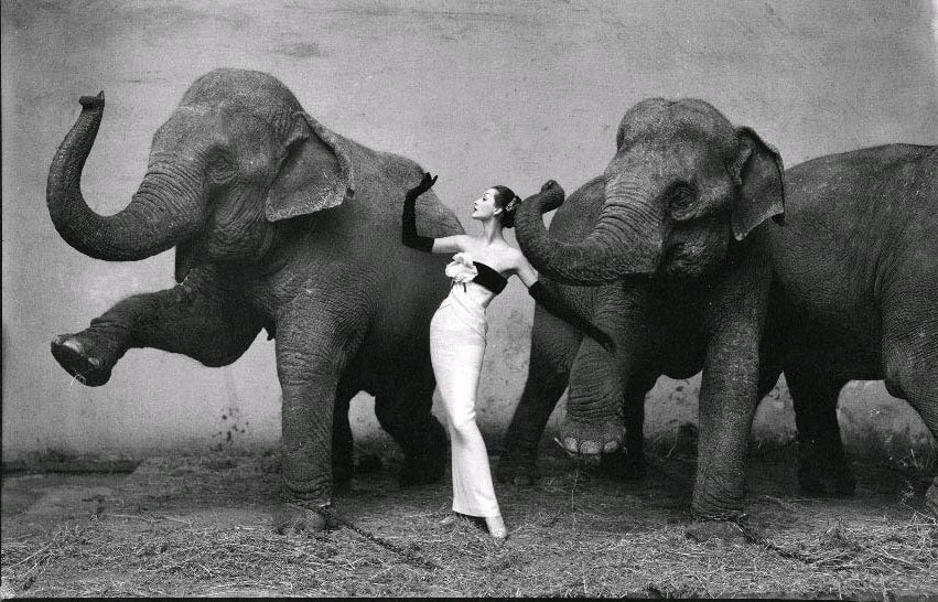 Richard Avedon: el fotógrafo que revolucionó la moda – elanalista