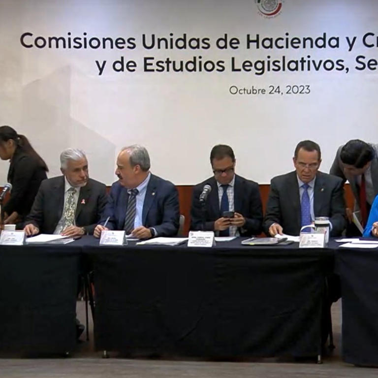 Senadores De Morena Y Aliados Aprueban En Comisiones Extinción De