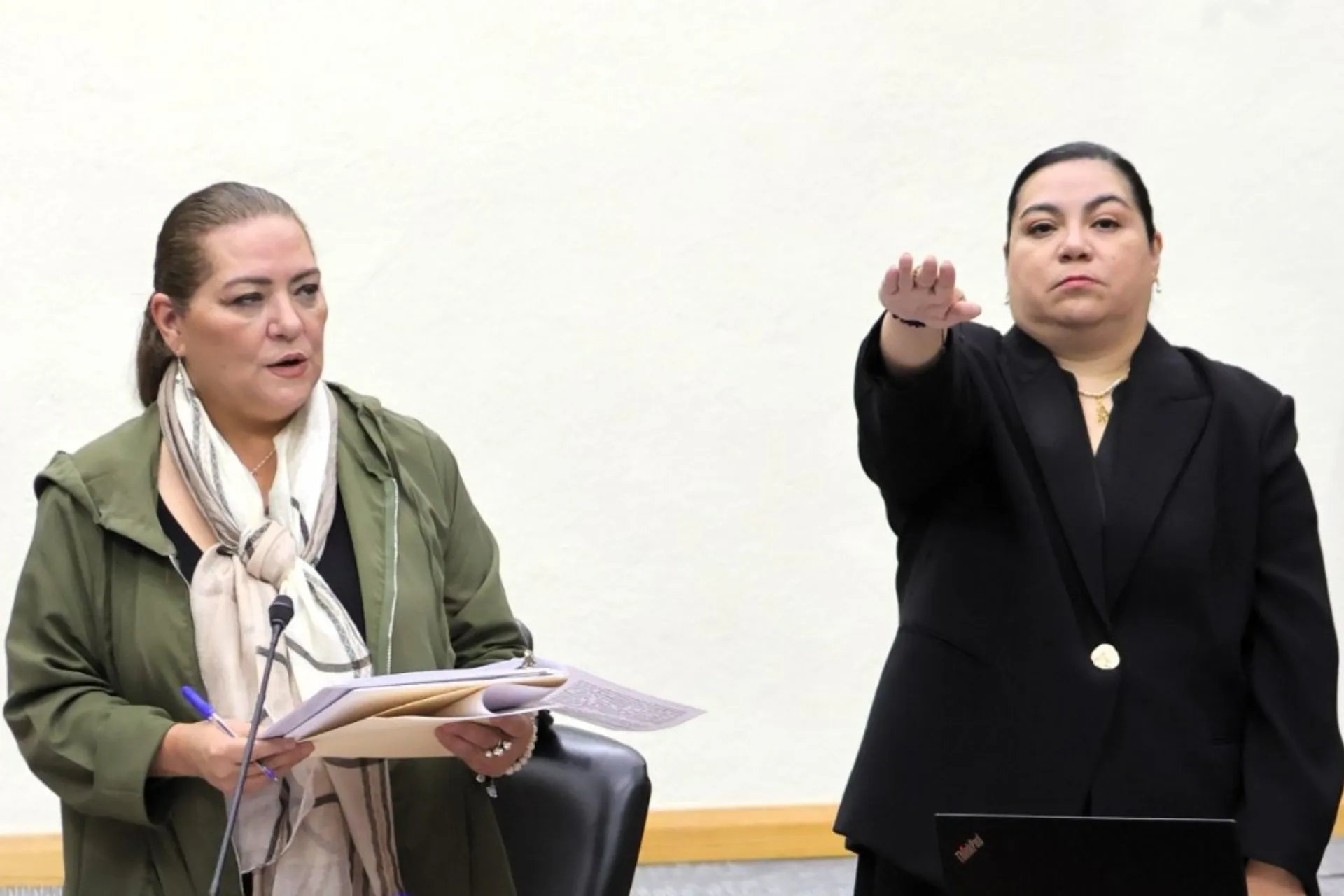 Renuncia encargada de despacho de la Secretaría Ejecutiva del INE ...