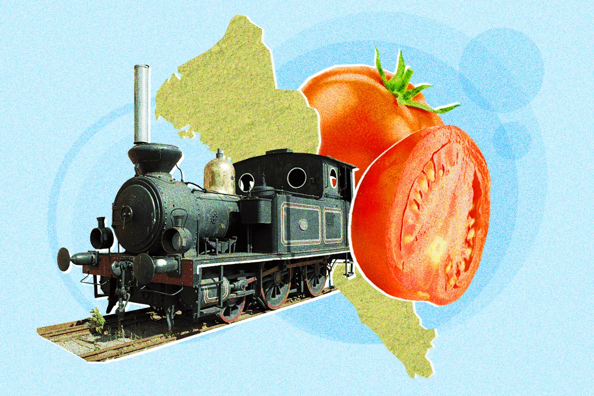 El tomate convirtió a Sinaloa en potencia agrícola internacional ...